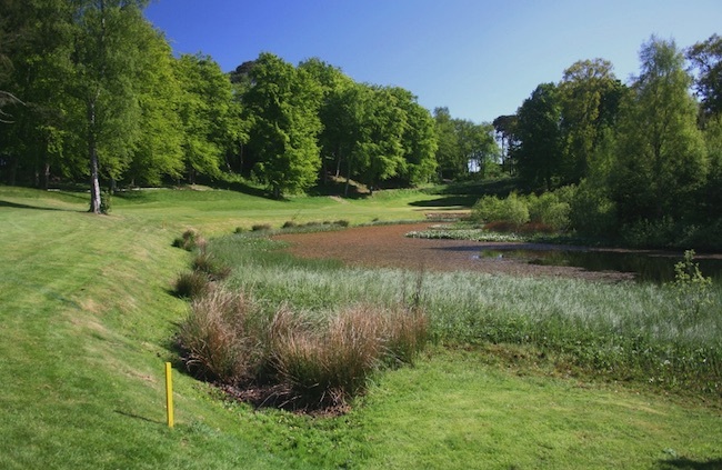 Letham Grange staff 'optimistic' over future