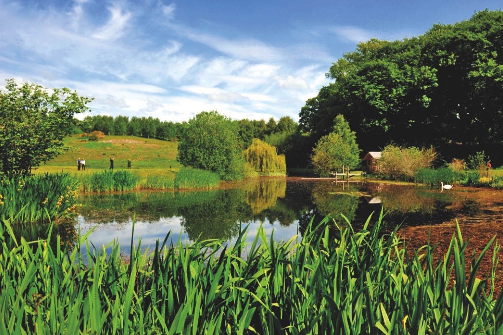 Membership Offer - Strathmore Golf Centre