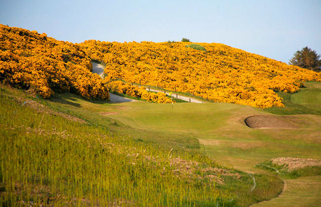The very best par-3s in Scotland