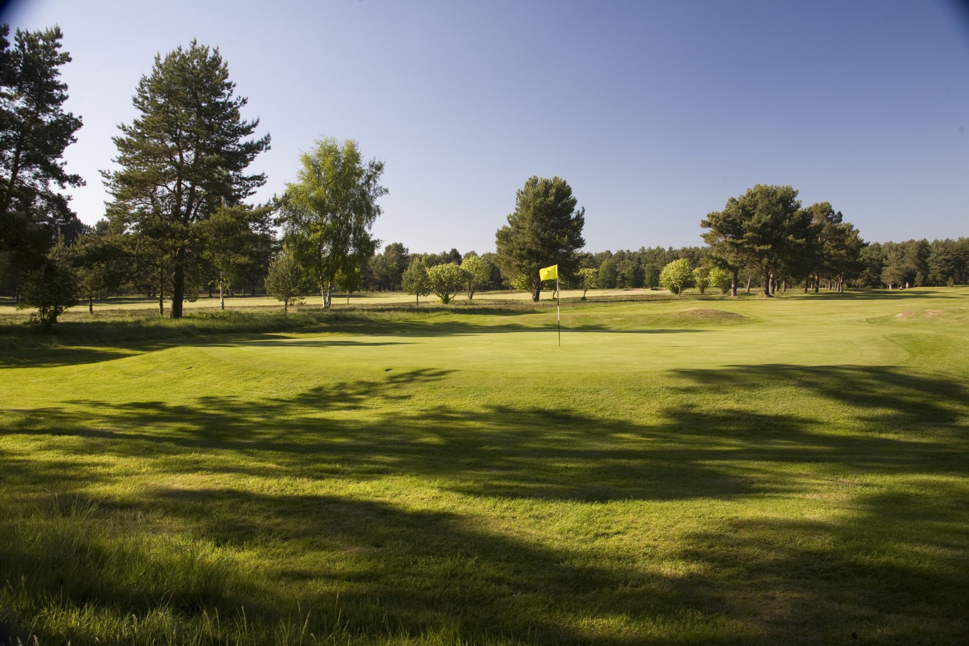 Ladybank Golf Club | bunkered.co.uk