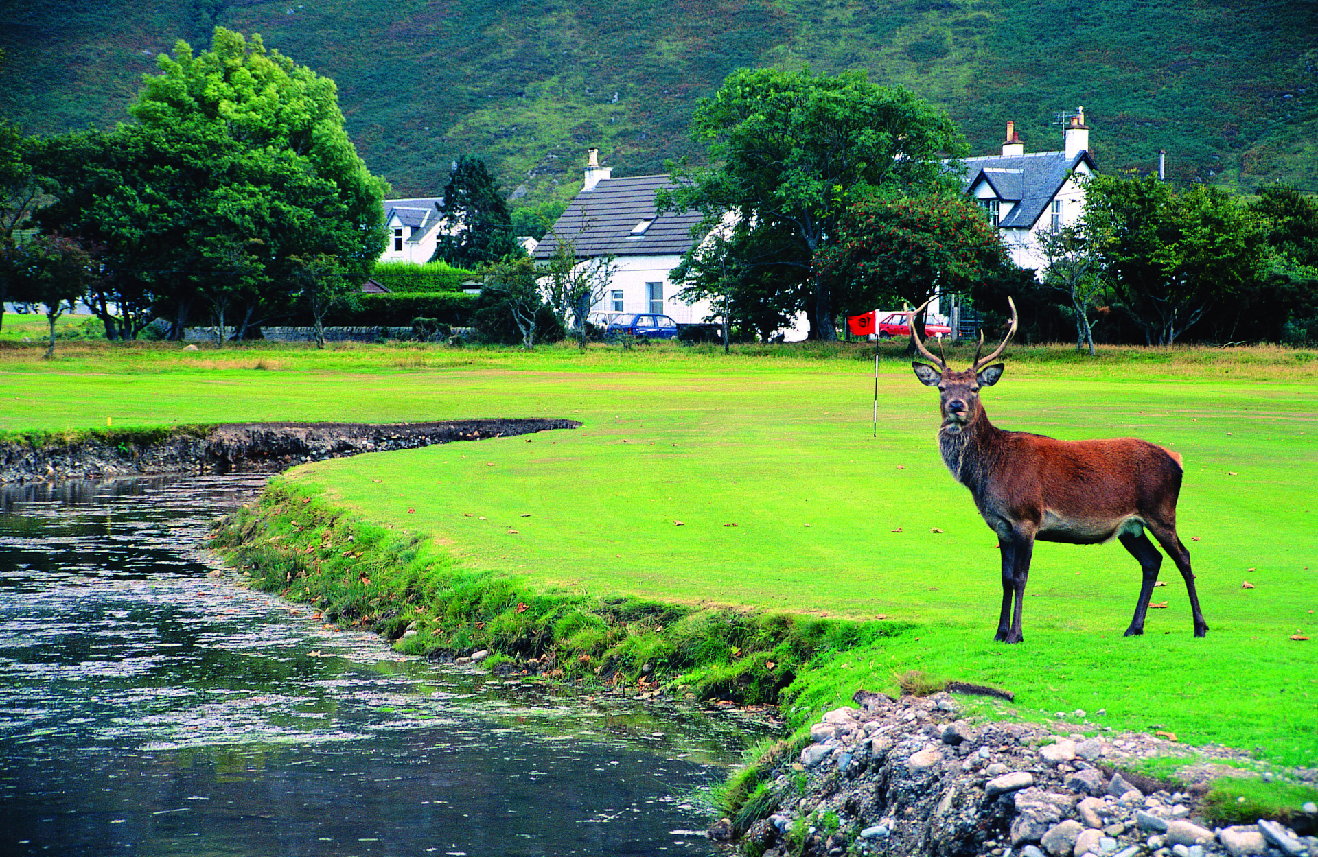 Lochranza Golf Course | bunkered.co.uk