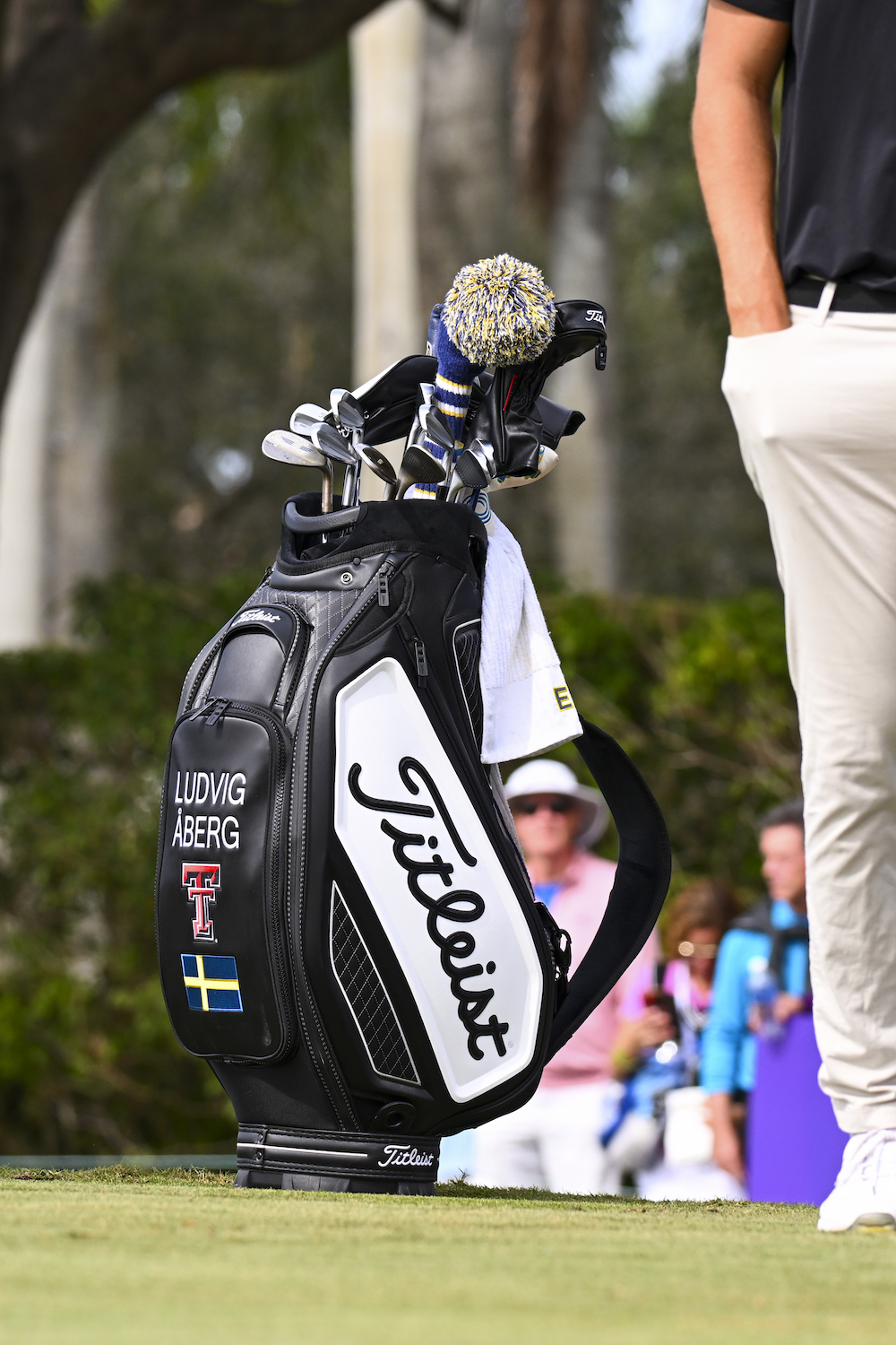 Ludvig Aberg WITB: December 2024