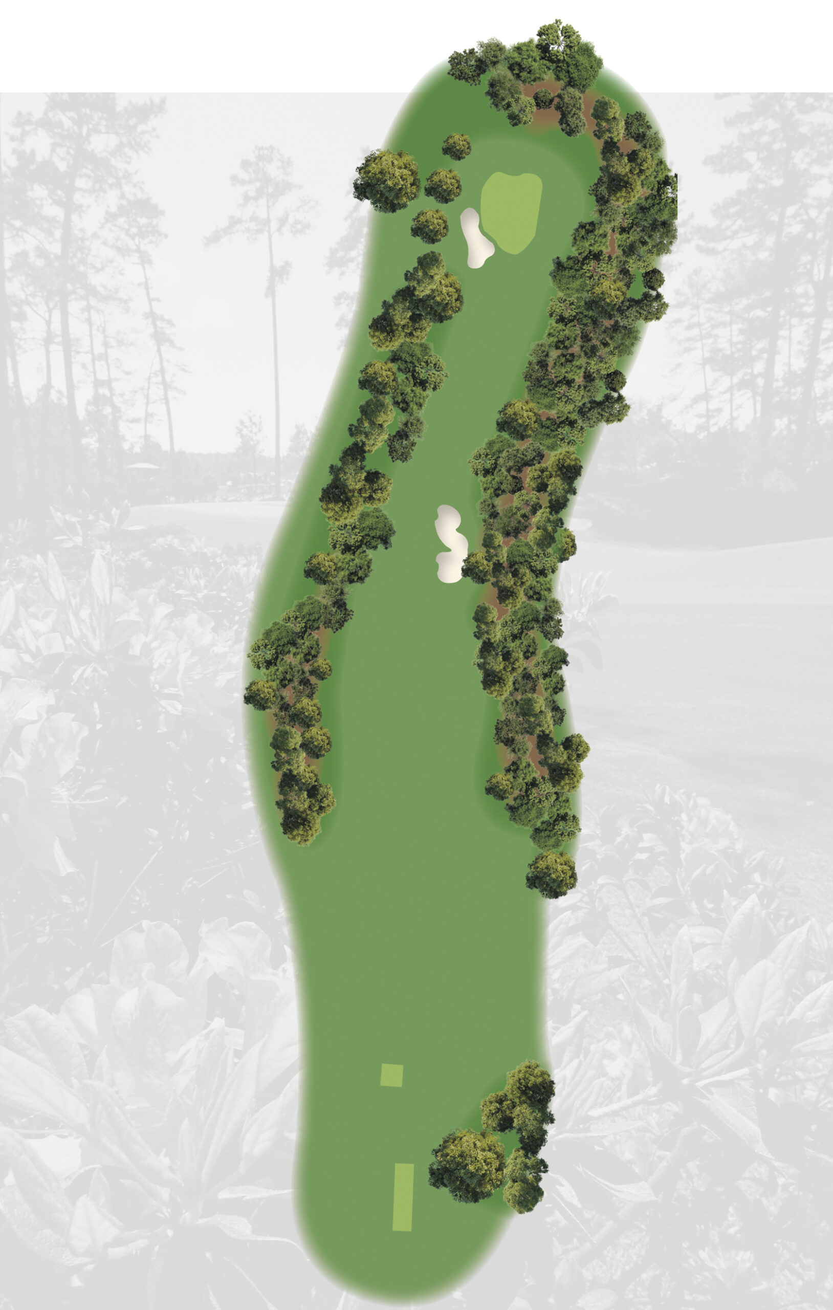 The Masters: The definitive hole-by-hole guide to Augusta National ...