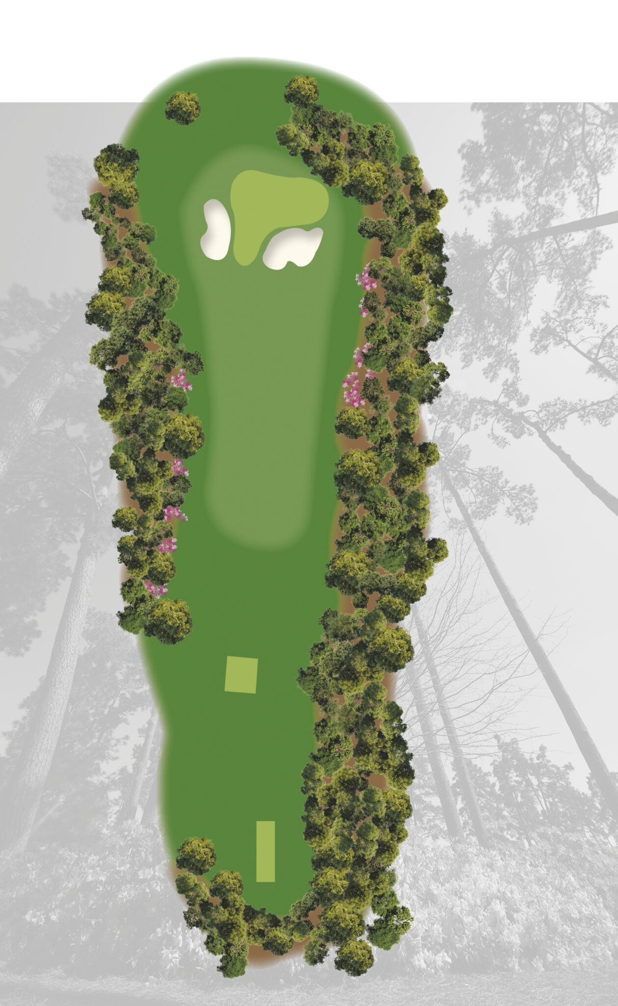 The Masters: The definitive hole-by-hole guide to Augusta National ...