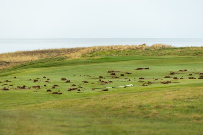 Pro-Palestine group cause shocking vandalism to Turnberry | bunkered.co.uk