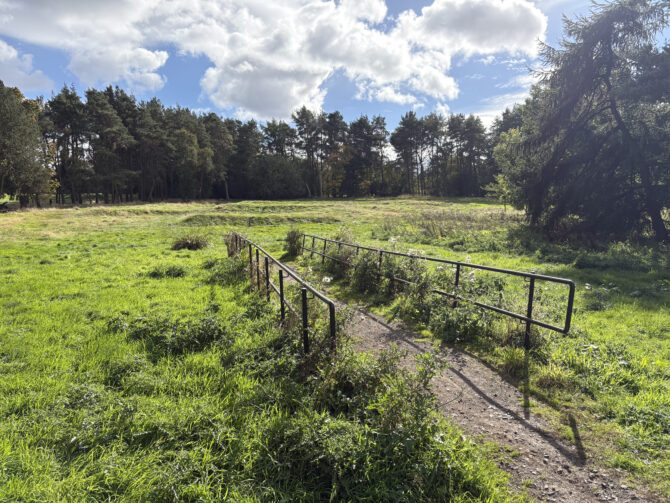 PHOTOS: The shocking state of abandoned Caird Park golf courses