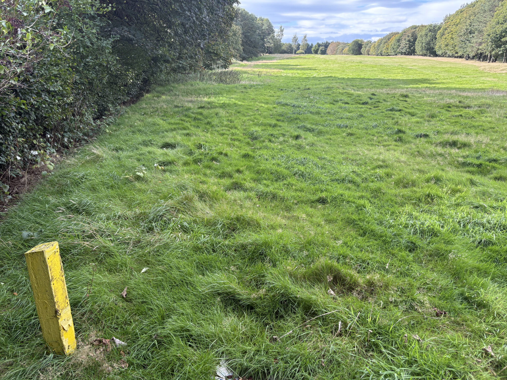 PHOTOS: The shocking state of abandoned Caird Park golf courses