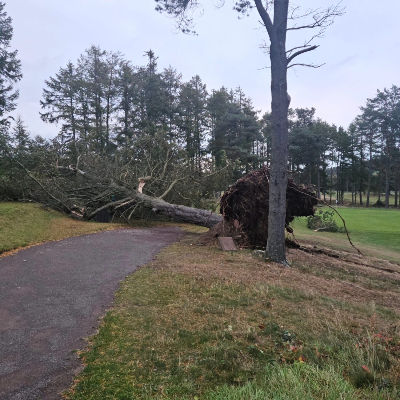 Scottish golf courses battered by Storm Amy | bunkered.co.uk