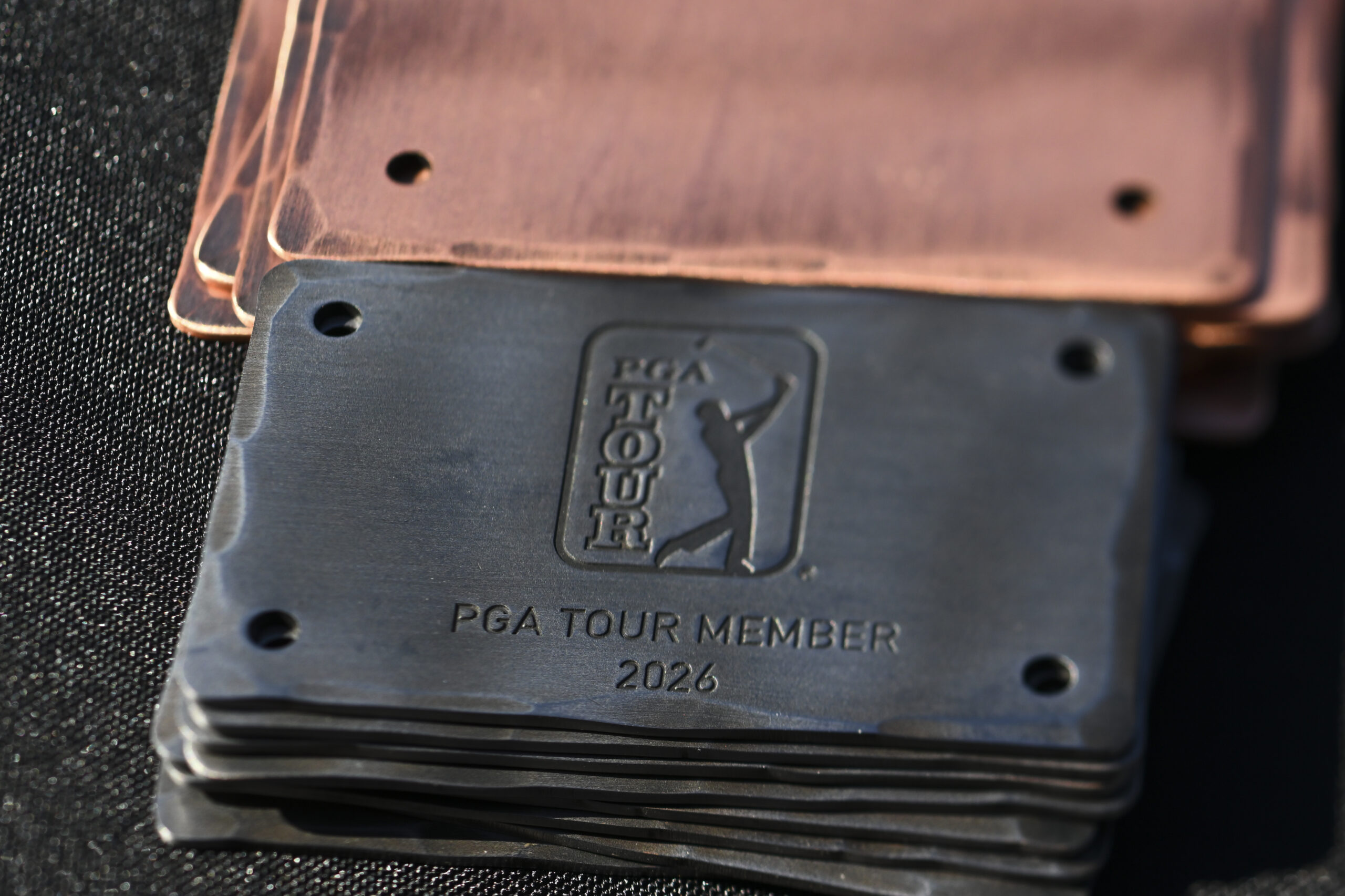 The 20 players who just won a PGA Tour card (including cult hero)