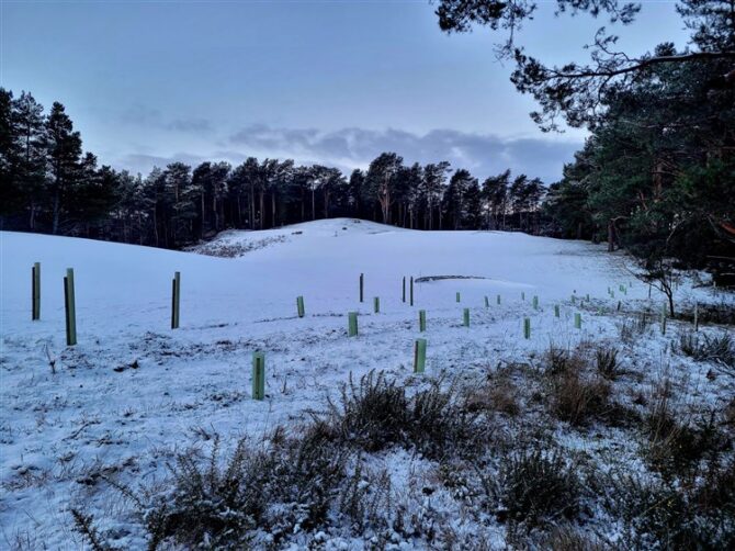 PHOTOS: Snowfall blankets golf courses across Scotland