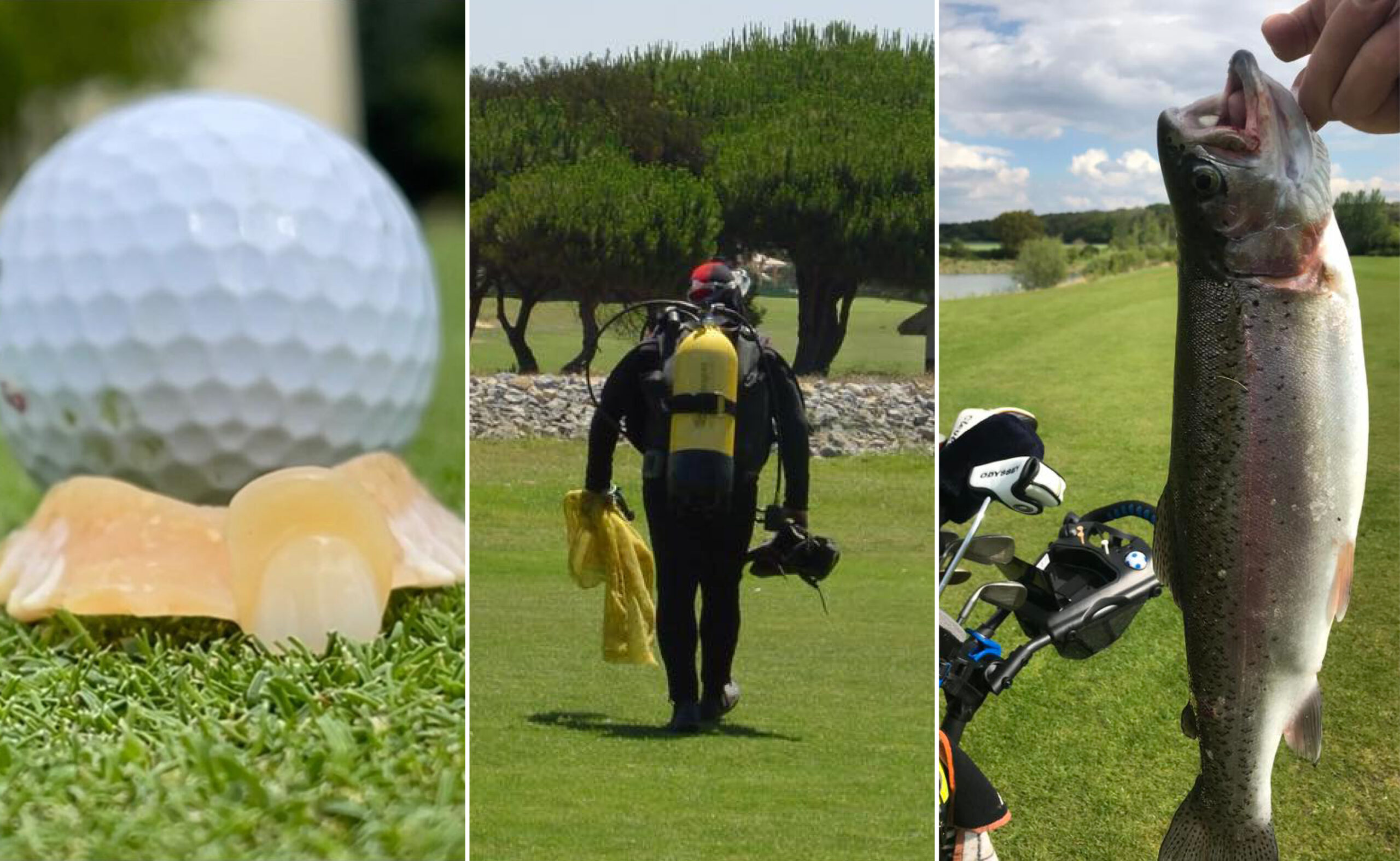 41 of the weirdest things ever found on a golf course (by the golfers ...