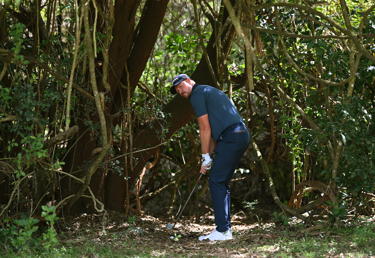 What happens if you break a tree branch on the golf course? Rule 8 ...